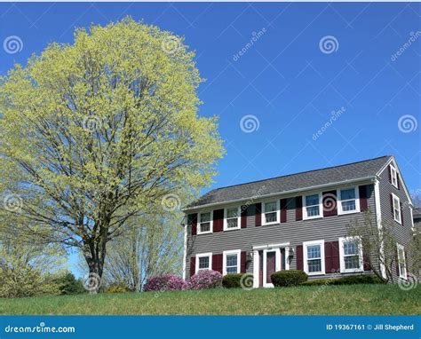 Spring House With Budding Maple Tree Stock Image Image Of Shutters