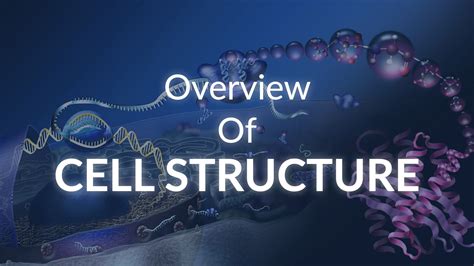 Tomidigital Overview Of Cell Structure Lesson