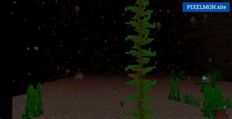 Биом Затопленная Темнота — Pixelmon Wiki на русском