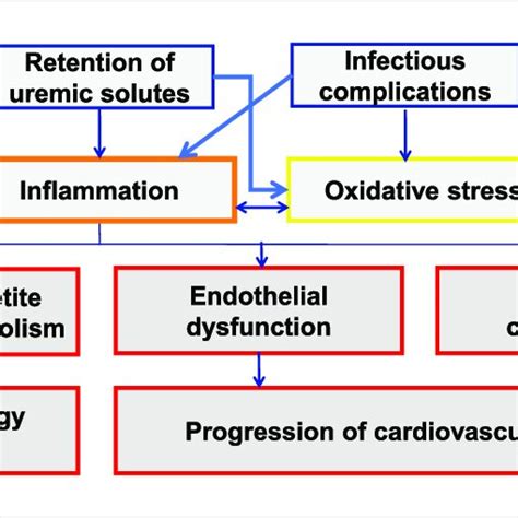 Inflammation Is A Significant Factor Leading To Progression Of Download Scientific Diagram