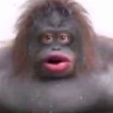 Danielle Ortiz Youtube