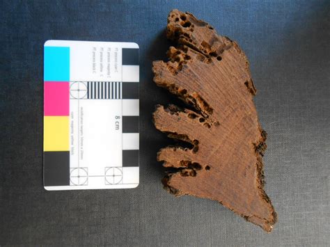 My Life In Objects Jane Sidell Inspector Of Ancient Monuments Digventures