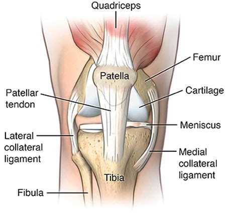 Knee Tendonitis Treatment NYC Tendonitis Doctor In Midtown Manhattan