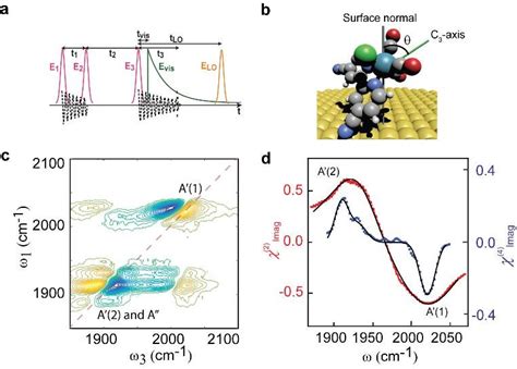 Illustration And Results Of Heterodyne 2d Vsfg Spectroscopy And The