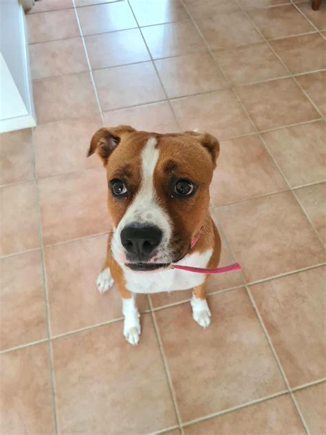 Luna Bear Album On Imgur