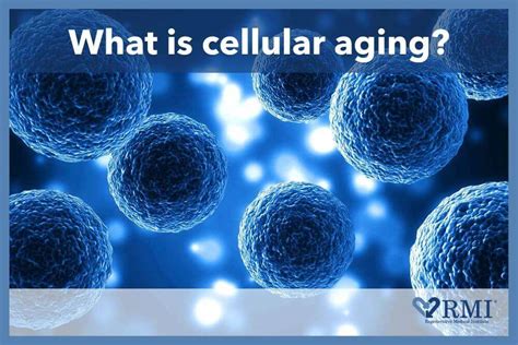 What Is Cellular Aging Regenerative Medical Institute
