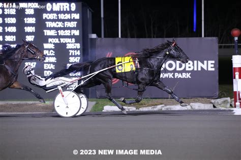 Logan Park Returns A Winner Harnesslink