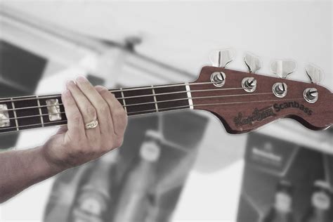 Basshandmusicinstrumentguitarist Free Image From