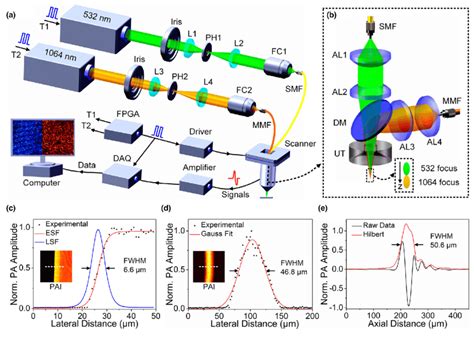 schematic diagram and spatial resolution of the bf pam system a