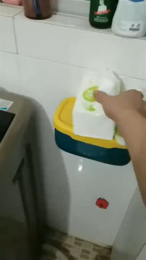 How To Catch A Cockroach Rbeamazed