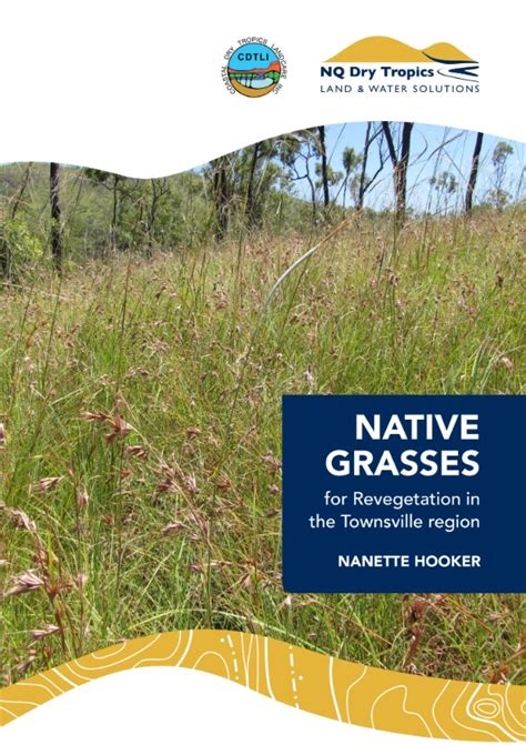 Native Grasses Nq Dry Tropics
