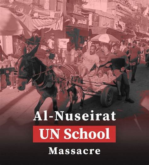 muhammad ayub posted on linkedin