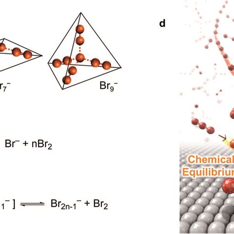 Ultrafast Mass Transport System Of Br2 Within Mepbr2n1 A Molecular