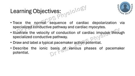 Cardiac Impulse Rhythmical Excitation And Conduction In The Heart Pdf
