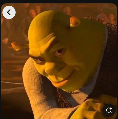 Pin By Brooke N Burdett On Funny Face Quotes In 2025 Shrek Funny