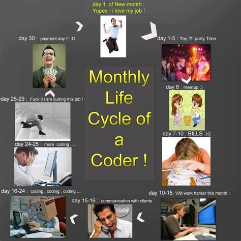 Monthly Life Cycle Of A Coder Trust Me I Am Programmer