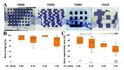 Osteoconduction And Bone Regeneration From Filament Based Fil Type Download Scientific