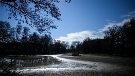 Sécheresse Historique En France Du Jamais Vu En Hiver Selon Météo France Médias