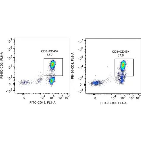 Human Cd3 T Cell Isolation Kit