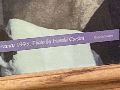 Frank Lloyd Wright Prints Auction Ohio