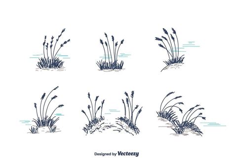 Sea Grass Vector Art Icons And Graphics For Free Download