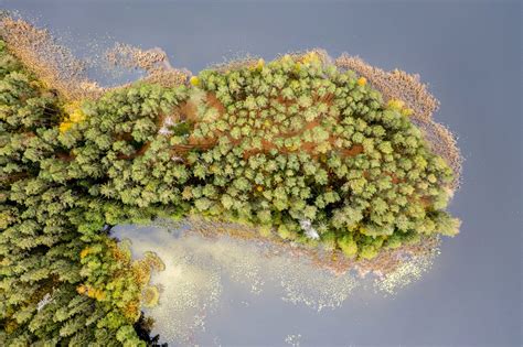 Orailt Tęsis švelnus Ruduo 15minlt