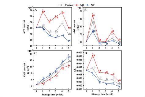 Adenosine Triphosphate Atp A Adenosine Diphosphate Adp B