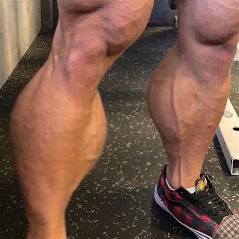 Calves Muscle Bodybuilder Legs Bigger Calf Muscles Male Calf