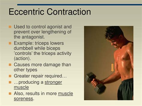 Ppt Muscle Function And Anatomy Powerpoint Presentation Free