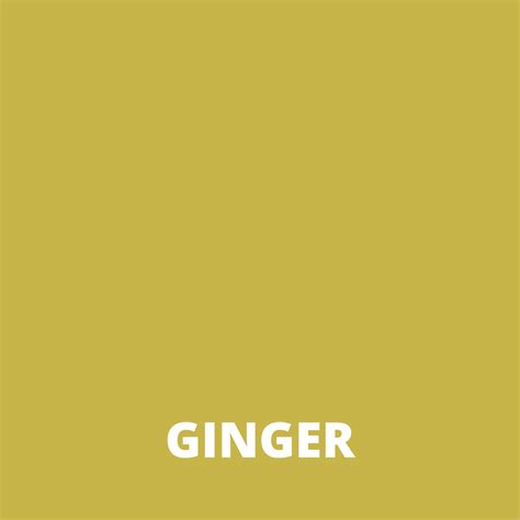 Ginger Atelier Het Kleine Huis