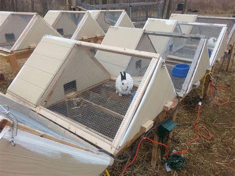 How To Build A Outside Rabbit Cage At Nathan Mcnicholas Blog