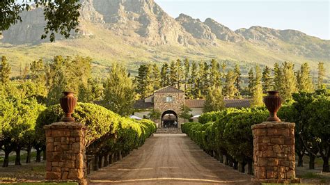 The Luxury Of A Private Wine Tour In The Cape Winelands Wine In The Cape