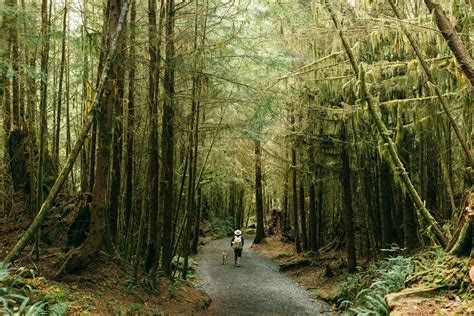 Hiking Tourism Vancouver Island