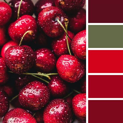 Ripe Red Cherries Color Palette
