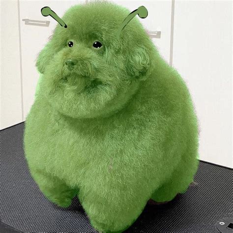 Alien Doggy Aliens Meme Alien Aesthetic