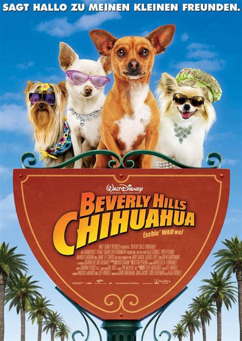 All About Beverly Hills Chihuahua