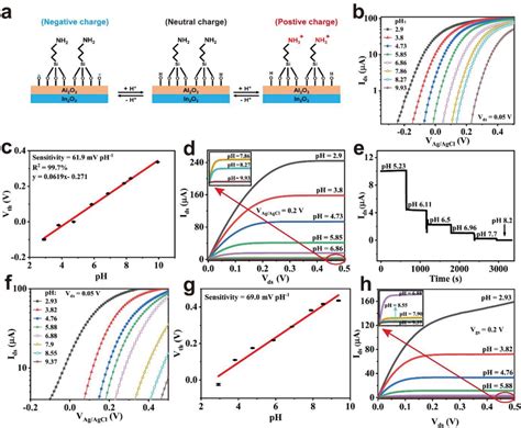 Ph Sensing Performance Of In2o3 And Al2o3 In2o3 Based Bio‐fets A The Download Scientific