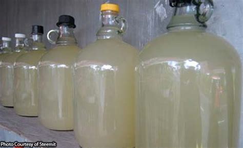 Lambanog Check What Is Methanol And Should It Be In Your Drink