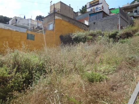 Parcela Rectangular Prácticamente Plana De 390 M2