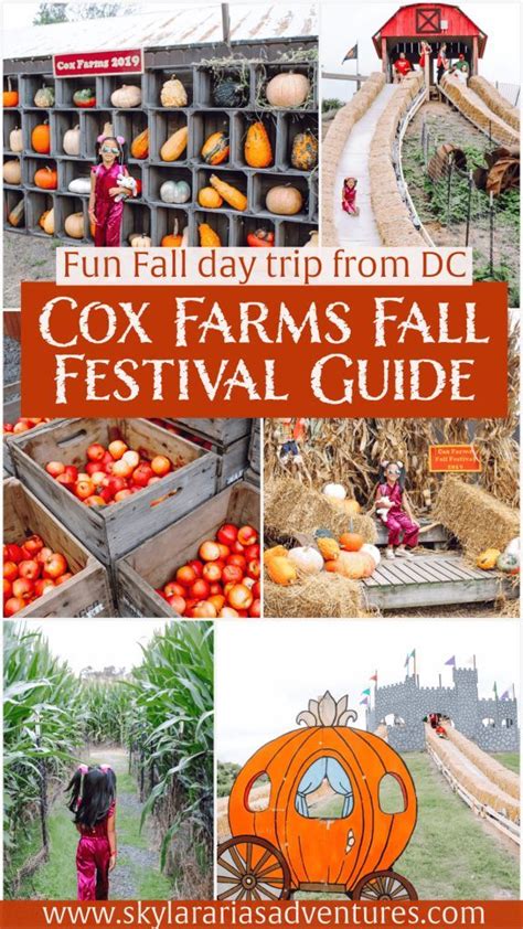 Cox Farms Fall Festival Guide Fall Day Trip From Dc Artofit