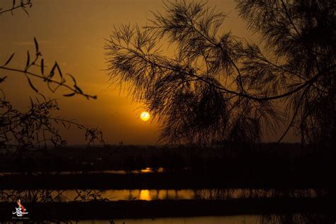 Muhammad Adeel Insearchpk