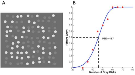 Example Stimulus And Psychometric Function A An Example Disk Array