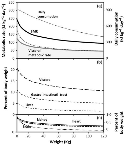 Relationship Between Growth And Standard Metabolic Rate Measurement Artefacts And Implications