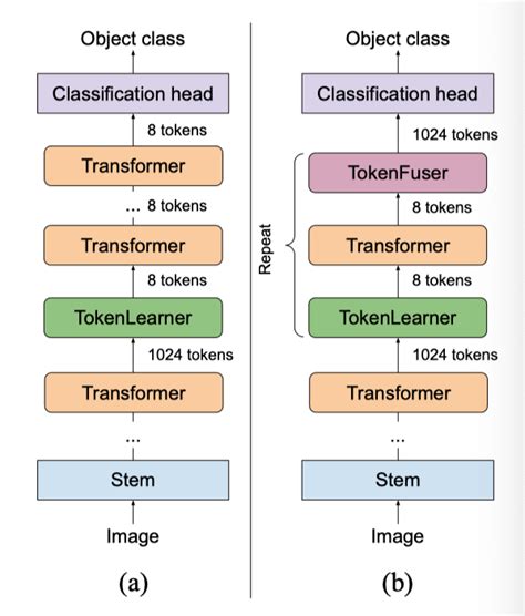 8个token能学到什么？谷歌提出《tokenlearner》，用8个token就可以达到优于数百个token的结果！ 知乎