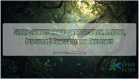 Sharp Shinned Hawk Identification Habitat Behavior And Conservation Explained