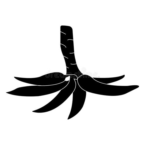 Cassava Icon Stock Vector Illustration Of Icon Graphic 290990472