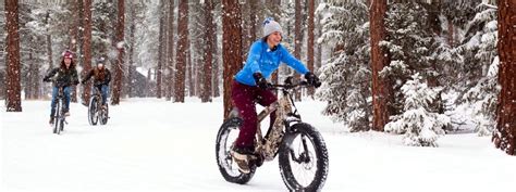 61 Best Class 1 Electric Bikes September 2023 Bikeride