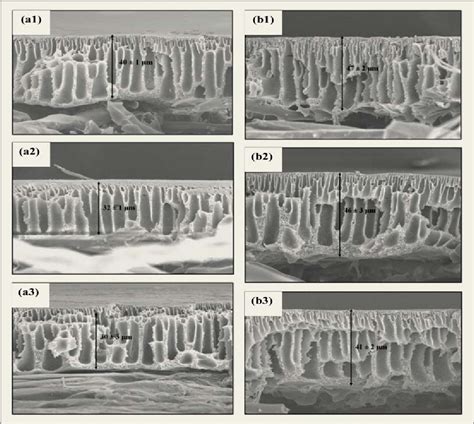 Figure 2 From Composite Polyamide Reverse Osmosis Ro Membranes