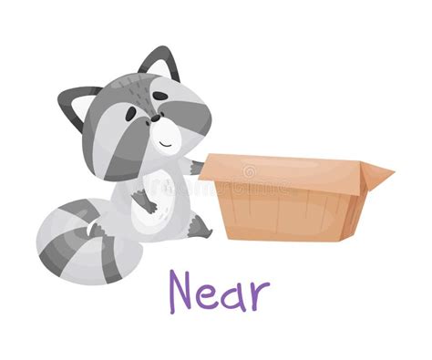 Pretty Raccoon Sitting Close To Box With Handwritten Inscription