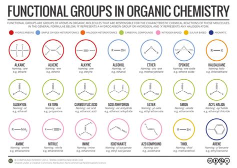 Functional Groups In Organic Compounds Artofit